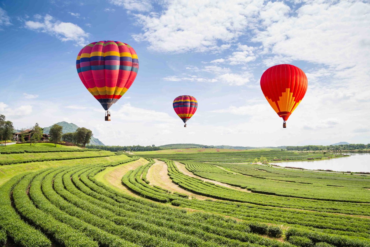 Discovering New Horizons